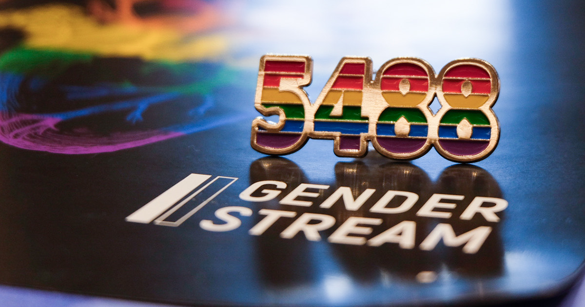 Over two years of active advocacy by Gender Stream for the protection of human rights in Ukraine ...